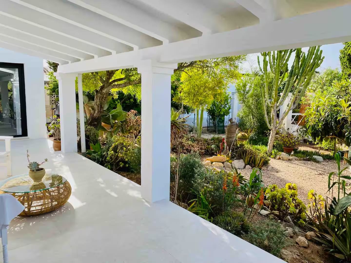 Notizie Formentera: Rimani aggiornato sugli ultimi eventi dell'isola